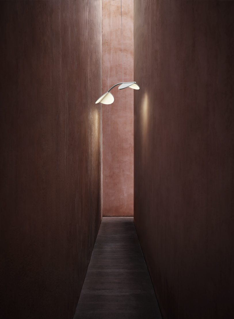 Browse all Almendra Organic products | Flos